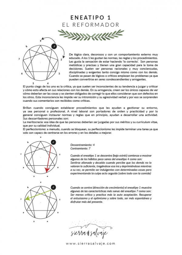 El eneagrama y los 9 tipos de personalidad - Sierra Salvaje