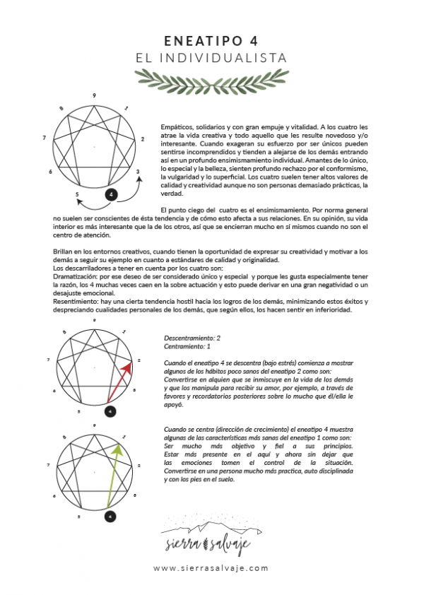 El eneagrama y los 9 tipos de personalidad - Sierra Salvaje